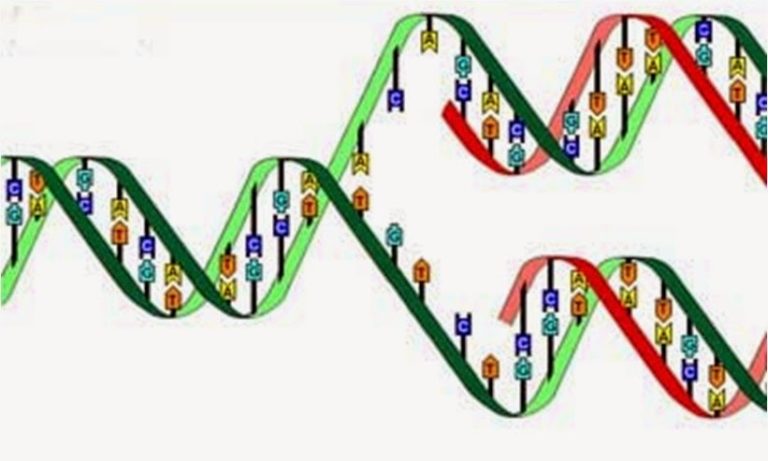 Cambios genéticos previos al CÁNCER – Enriquerubio.net