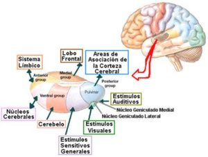 EL TALAMO – Enriquerubio.net